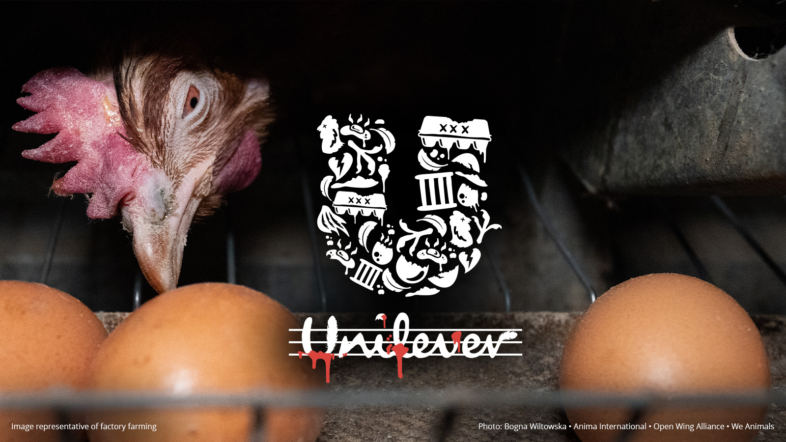 Unilever: Stop the Cruelty, Reinstate Your Global Cage-Free Commitment